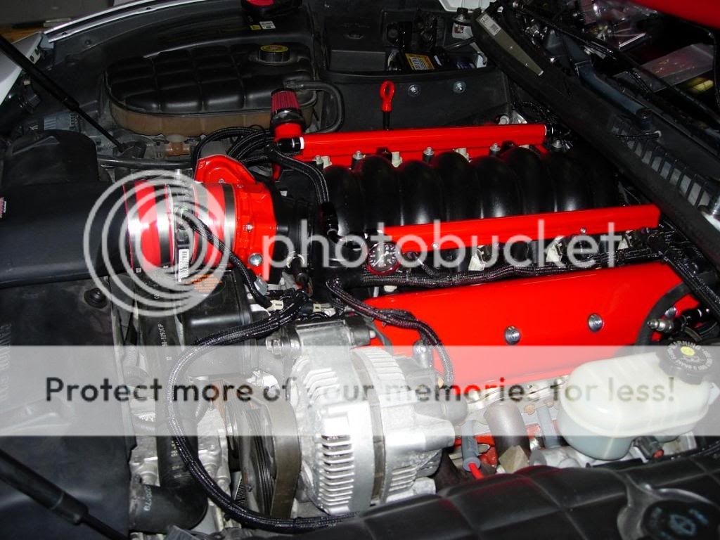 Should I have my LS6 intake manifold painted or powder coated ...