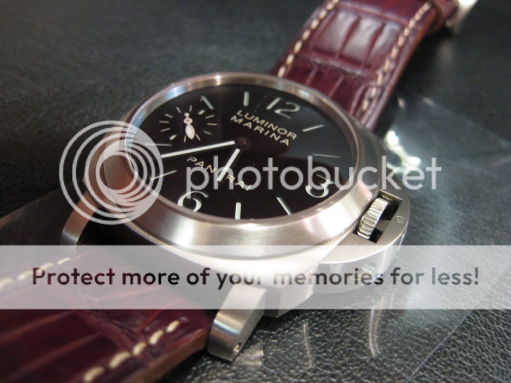 Reduced FS Le Collezioni Panerai PAM 50,164,282,24 i,177,183K,210 ...