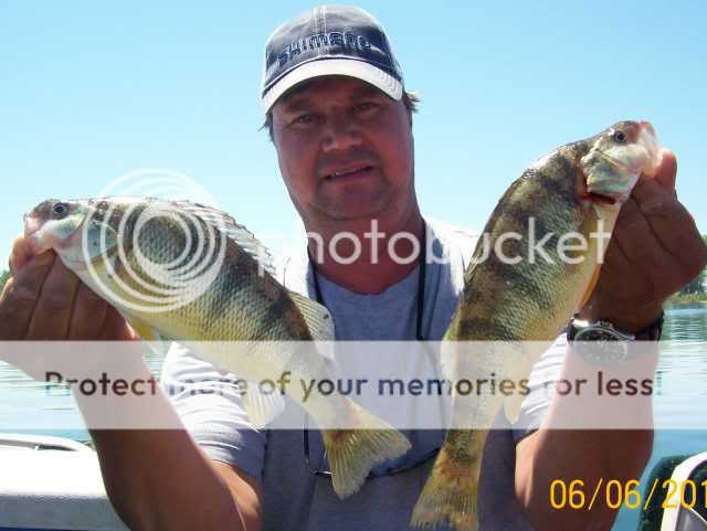 Pottahawk-Jumbos-June 6 | Channel 6-8