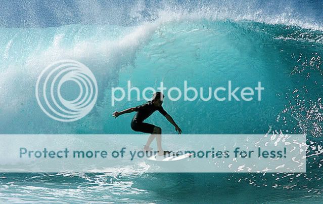 Thursday Random (24 Photos) - Pirate's Cove » Pirate's Cove